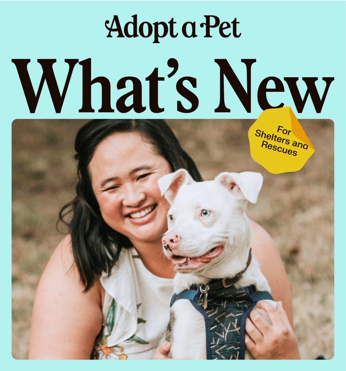 What's New at AdoptaPet in December 2023 - Pamper Your Pet Shop